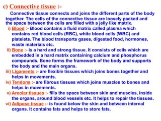 Tissue chapter 6 of Ncert Class 10 science | PPT