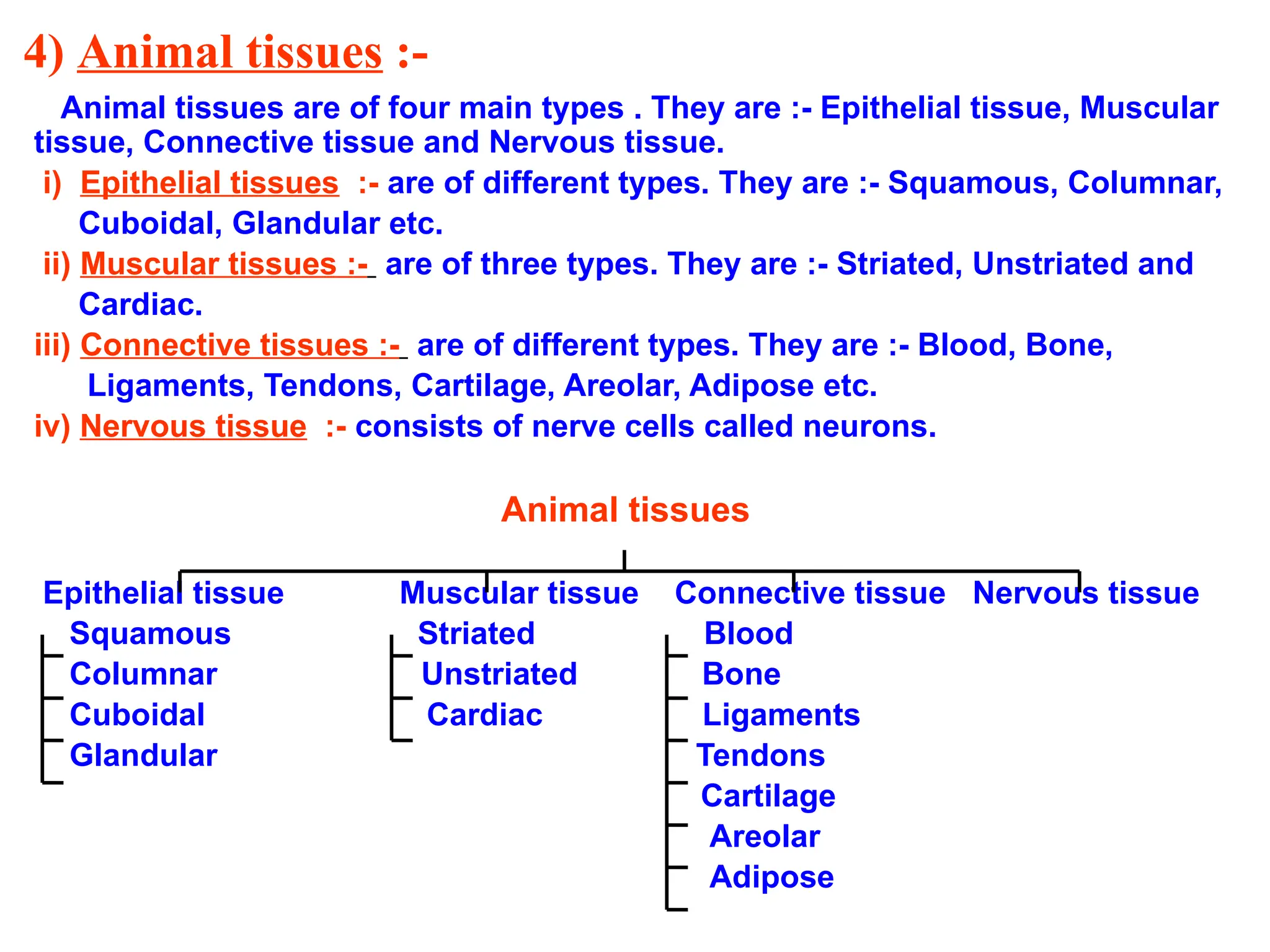 Tissues and it's types: plant tissues and animal tissues | PPTX