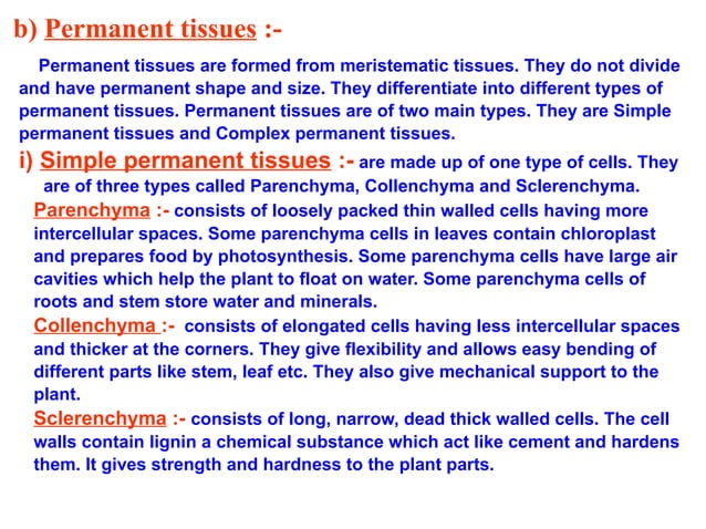 Tissues and it's types: plant tissues and animal tissues | PPTX