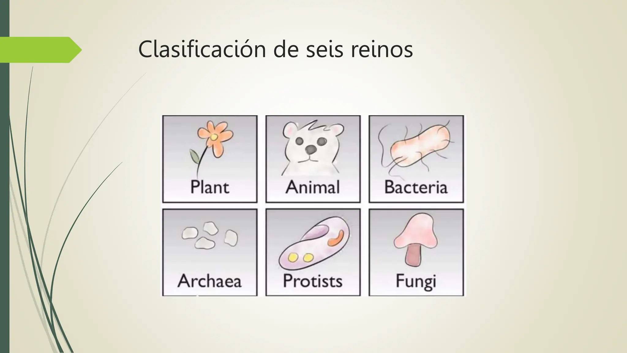 CLASIFICACION DE REINOS ( SERES VIVOS ) | PPT