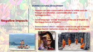 Tourism Impacts on Culture and Society | PDF