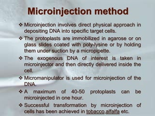 trnsgenic plants and animls | PPT