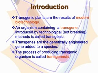trnsgenic plants and animls | PPT
