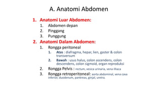 6 Trauma Abdomen | PDF