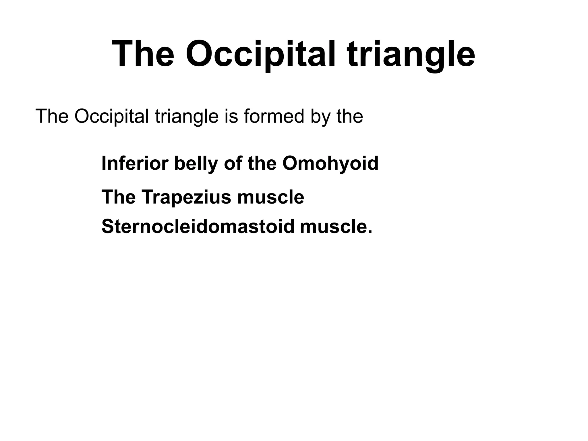 Triangles of Neck | PPTX