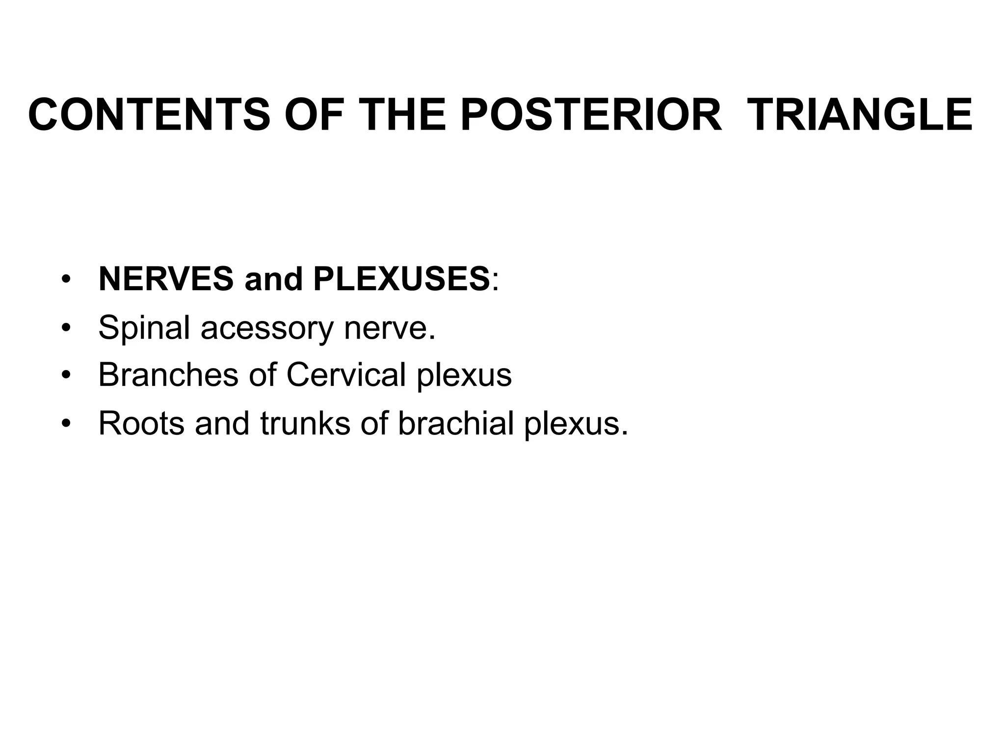 Triangles of Neck | PPTX
