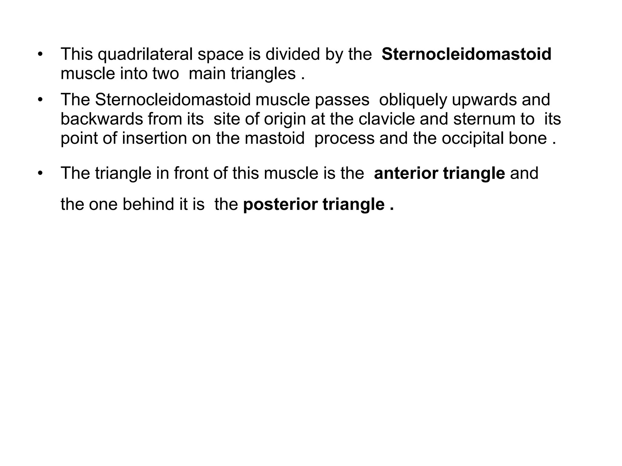 Triangles of Neck | PPTX