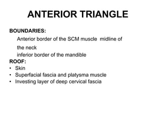 Triangles of Neck | PPTX