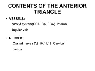 Triangles of Neck | PPTX