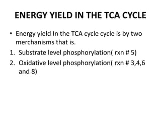 6 tricarboxylic acid cycle (2) | PPTX