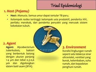BAB 6 EPIDEMIOLOGI PENYAKIT MENULAR Tuberkulosis (tb) | PPTX