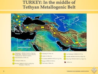 6_Turkey TURKEY ALTIN REPORT 2016.pdf