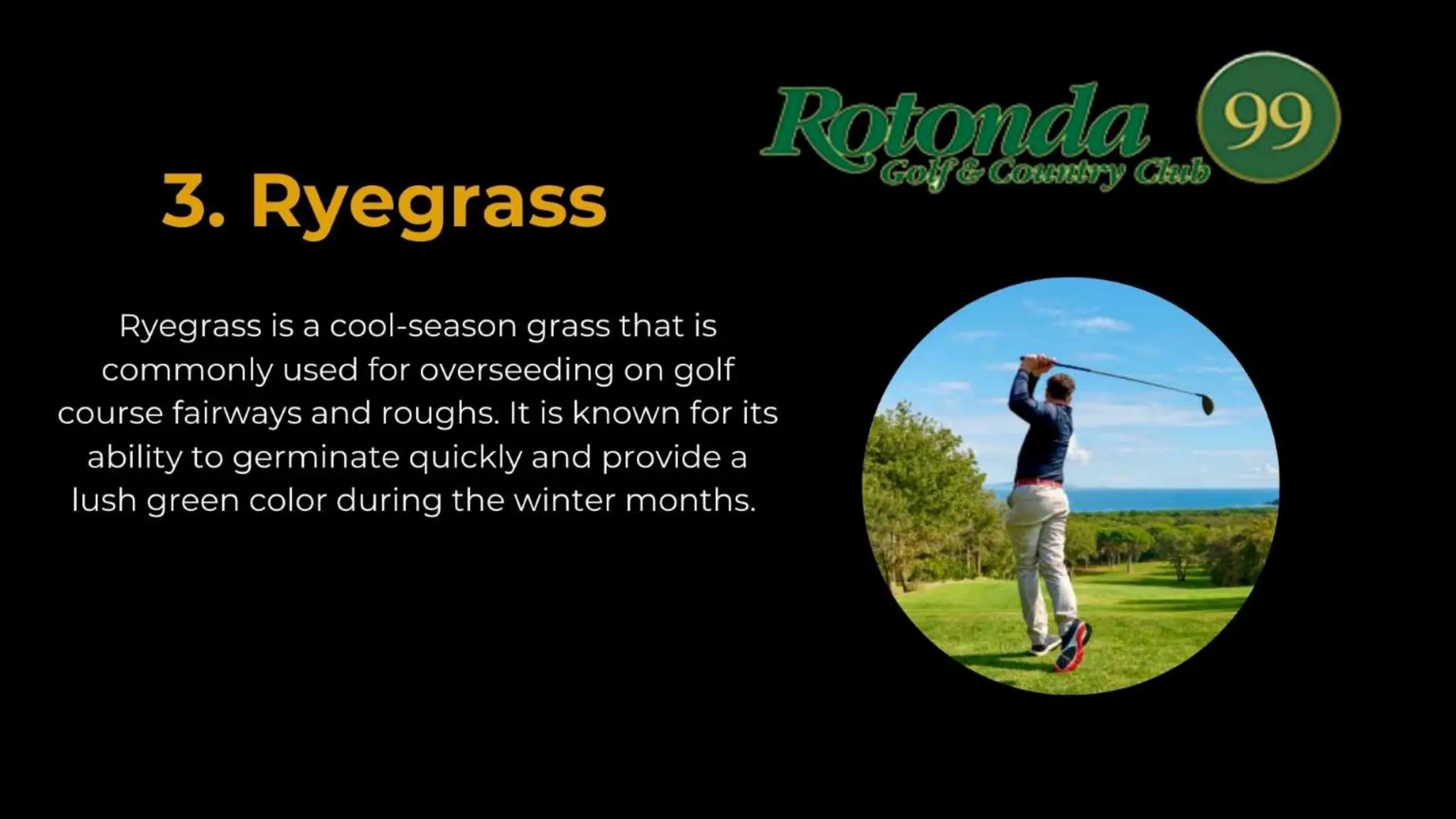 6 Types Of Grass Used in Golf Courses.pptx