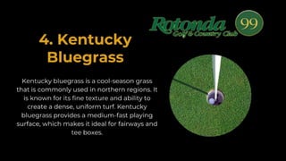 6 Types Of Grass Used in Golf Courses.pptx