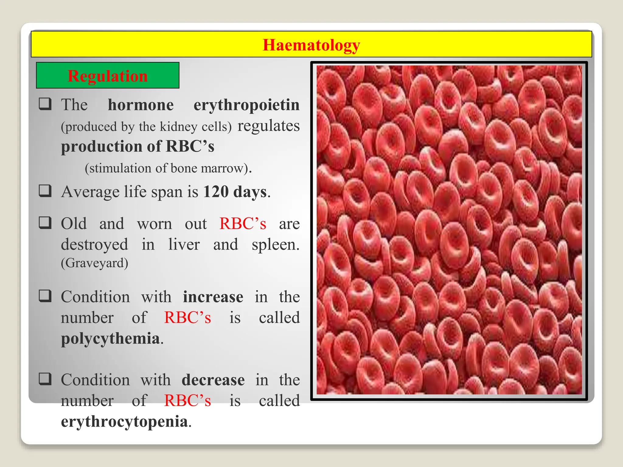 Chap_8_Respiration_and_Circulation.pptx