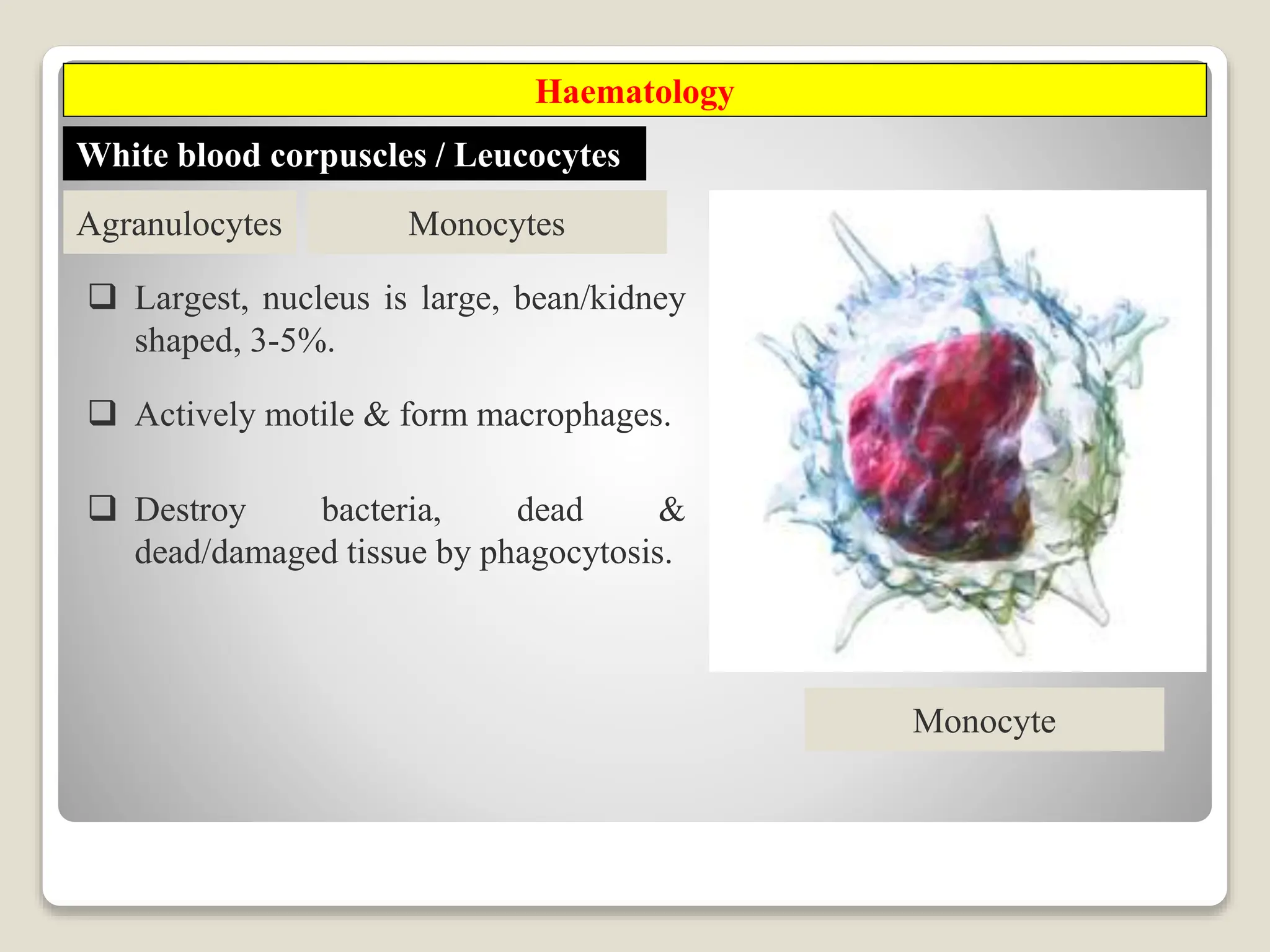 Chap_8_Respiration_and_Circulation.pptx