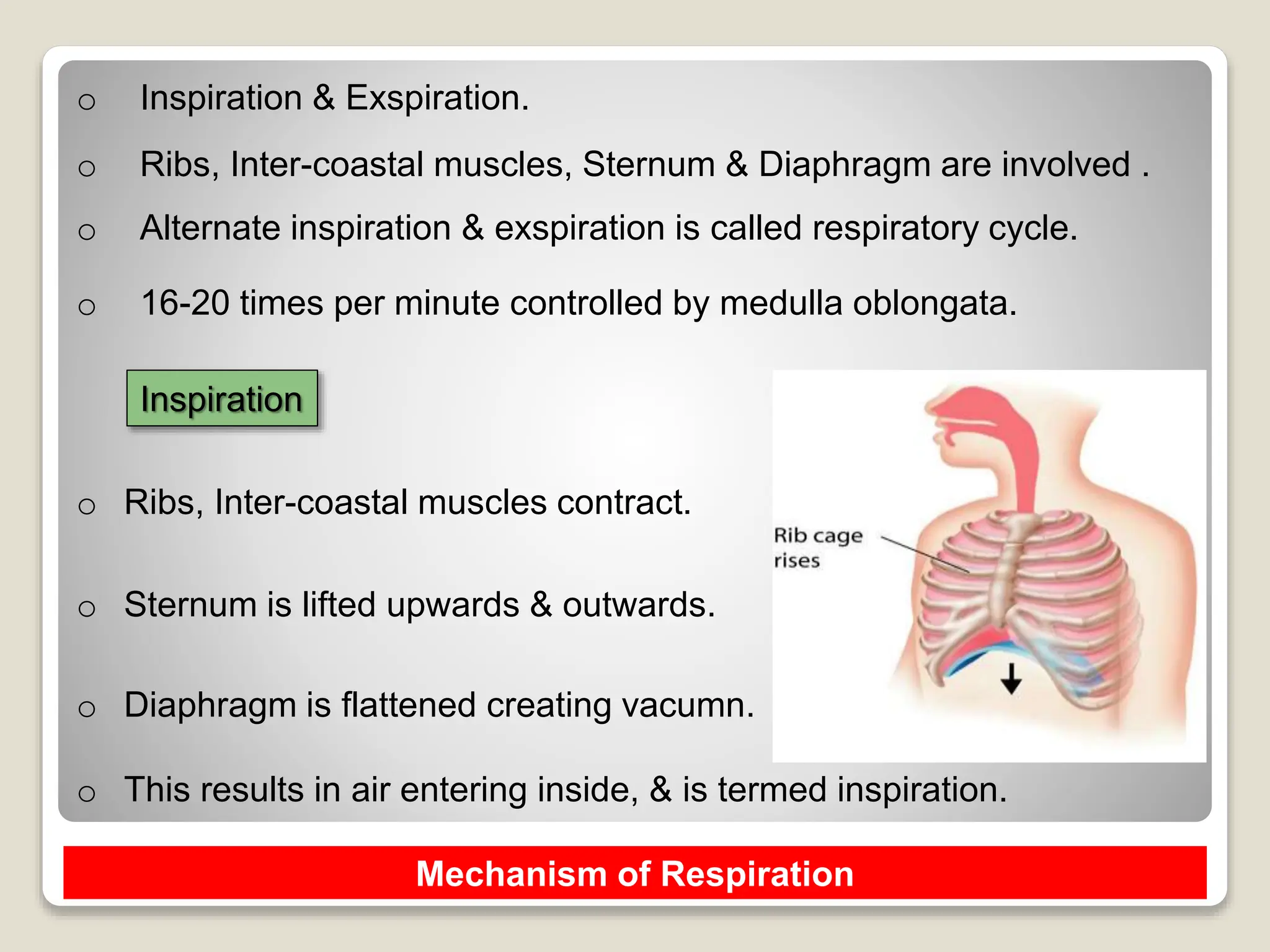 Chap_8_Respiration_and_Circulation.pptx