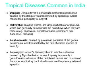 Tropical diseases in India: an overview | PPTX