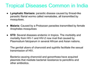 Tropical diseases in India: an overview | PPTX