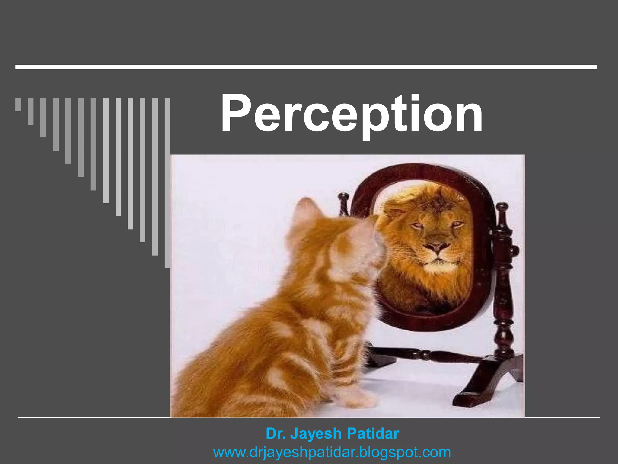 Perception | PDF | Science