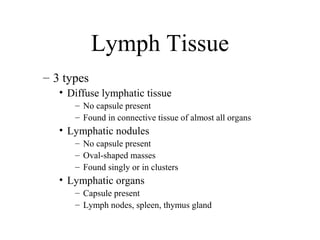 lymphatic system | PPT
