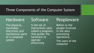 understanding the computer system | PPTX