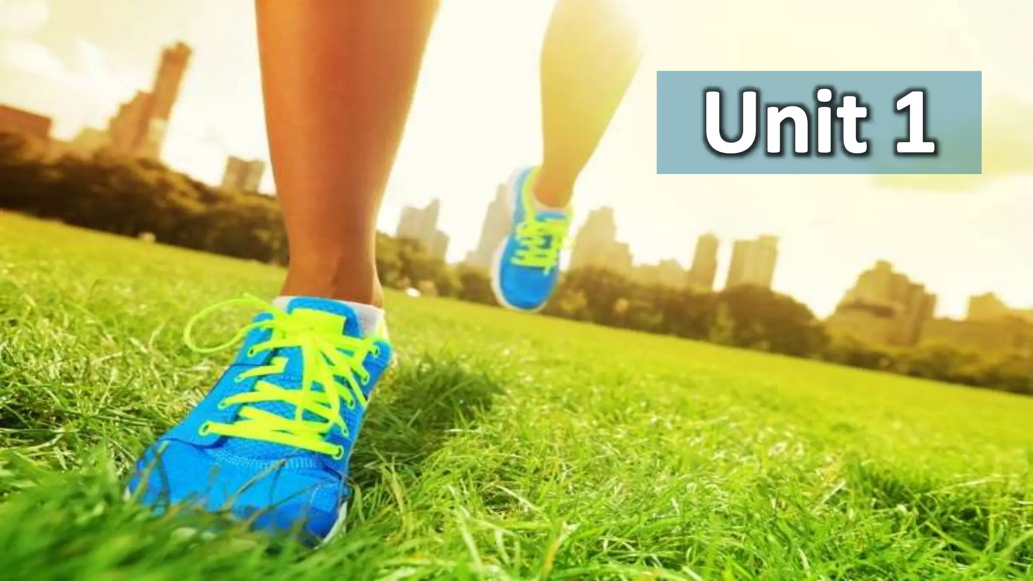 Grade 6 unit 1 lesson 2 term 1 Ayoub Hussein | PPTX