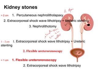 6 Urolithiasis.pdf, Urinary Tract Infection | PPT