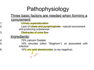 6 Urolithiasis.pdf, Urinary Tract Infection | PPT