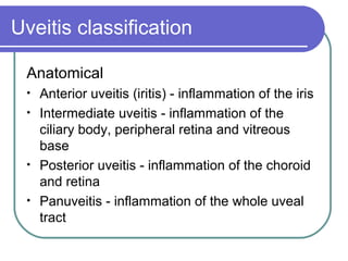 Uveitis | PPT | Eye and Vision Conditions | Diseases and Conditions