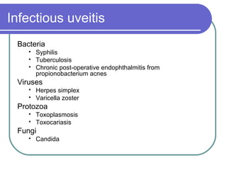 Uveitis | PPT | Eye and Vision Conditions | Diseases and Conditions