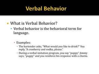 Verbal Behavior Presentation with Questions | PPTX