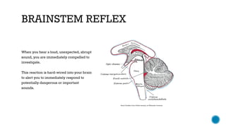 6 Ways Your Brain Transforms Sound into Emotion | PDF