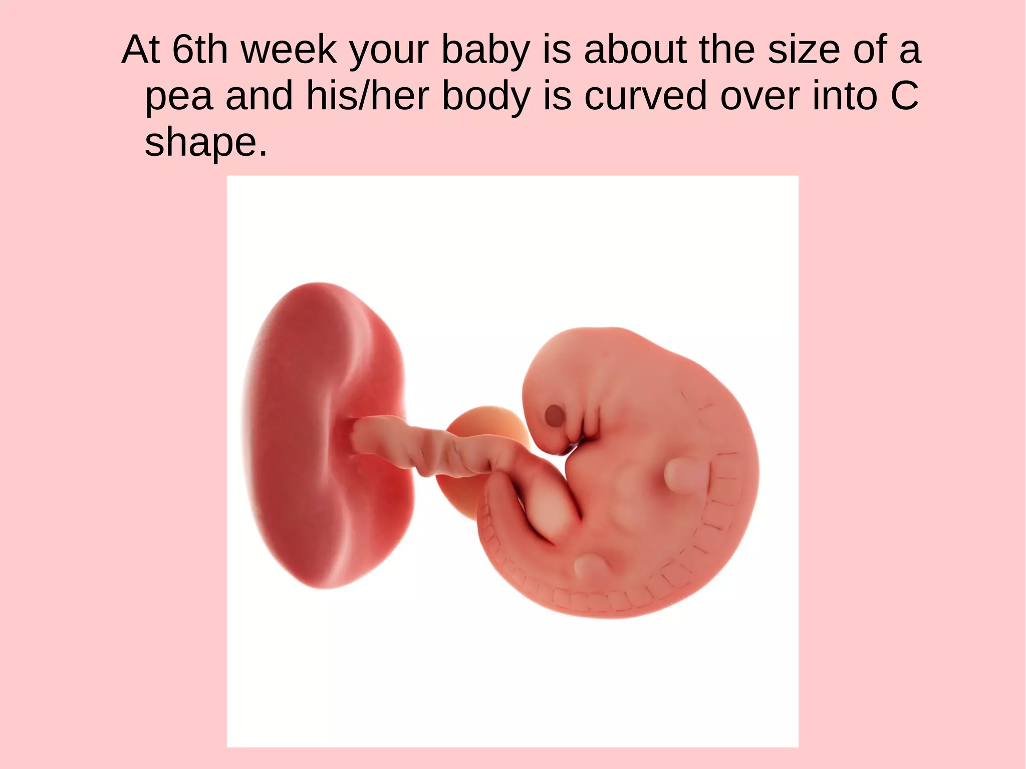 6 Weeks Pregnant: What to Expect | Pregnancy Week By Week | ODP