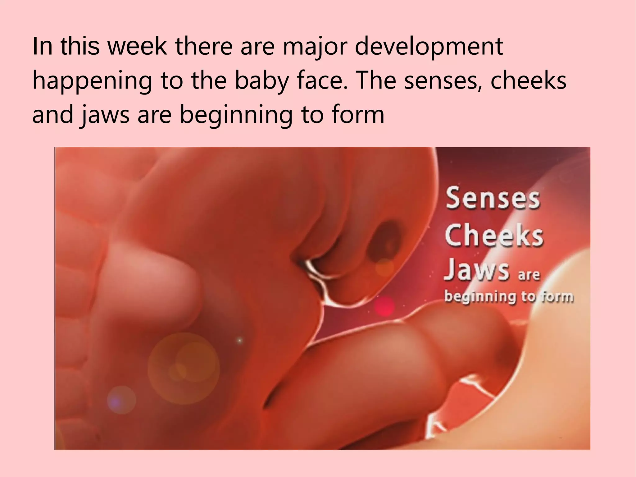 6 Weeks Pregnant: What to Expect | Pregnancy Week By Week | ODP