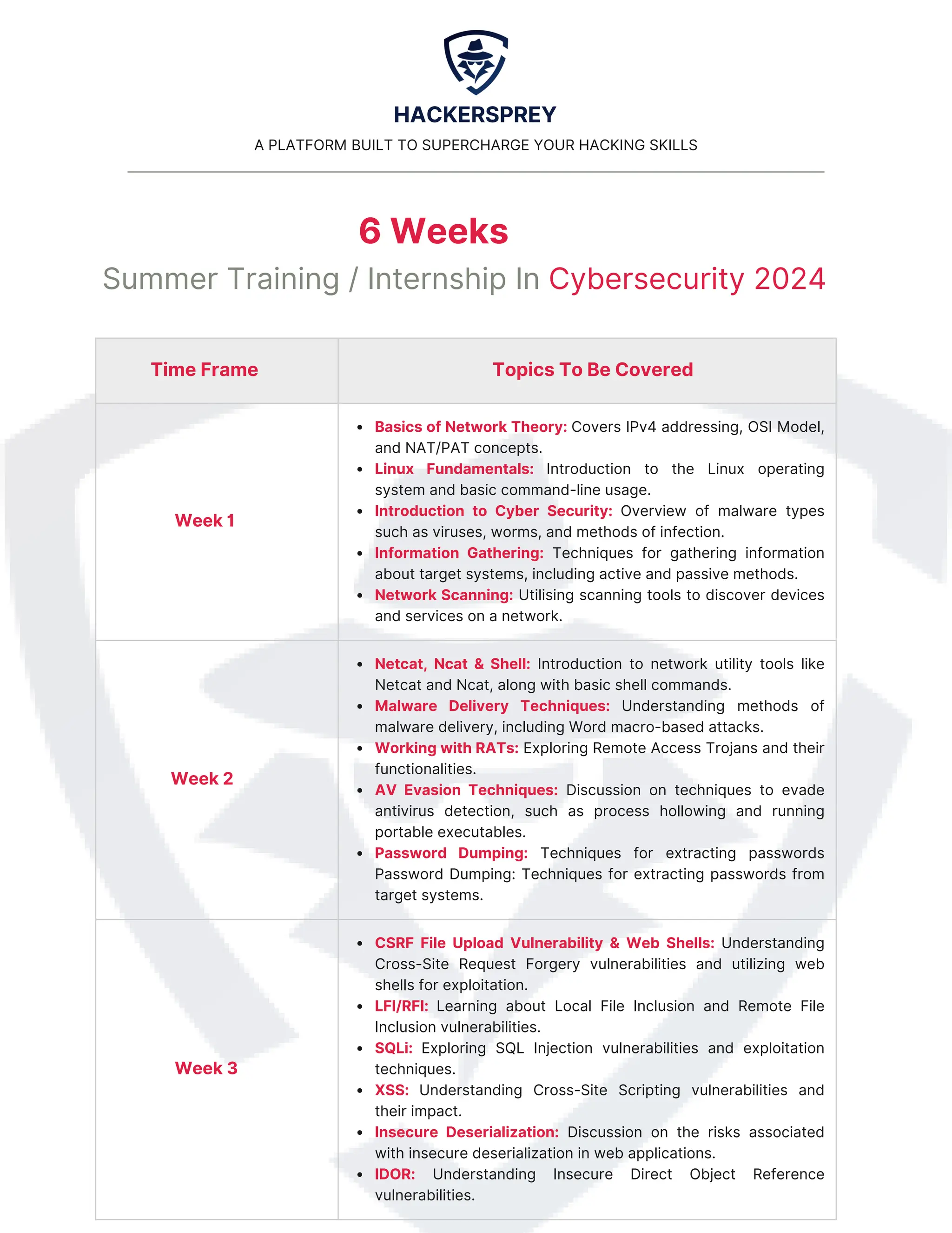 6 Weeks Summer Training In Cybersecurity | PDF