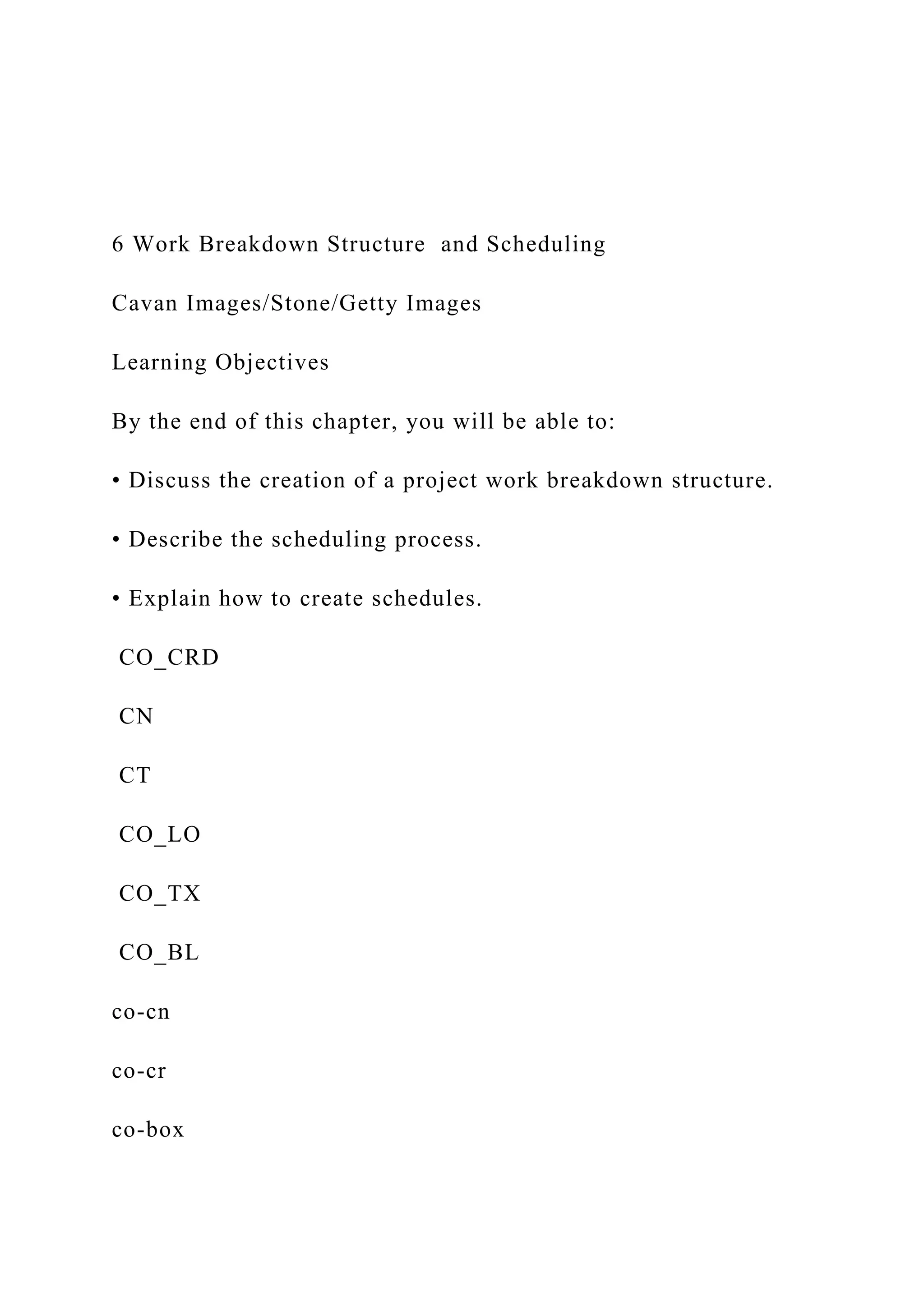 6 Work Breakdown Structure and SchedulingCavan ImagesSto.docx