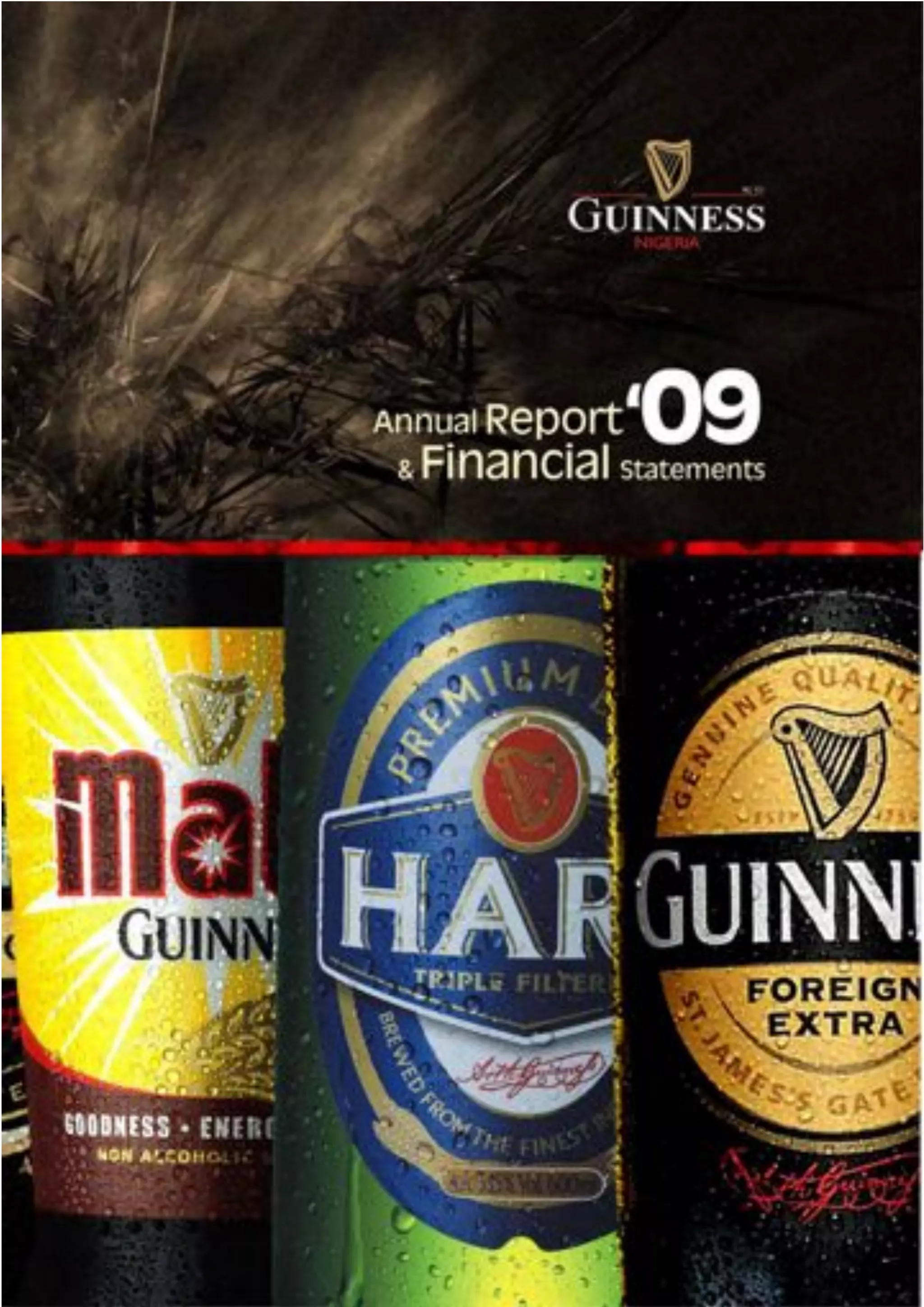 Guinness nigeria plc annual report 2009 | PDF