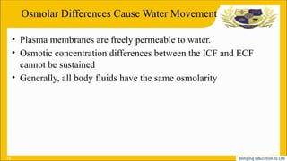 Renal physiology and body fluid compartment | PPTX