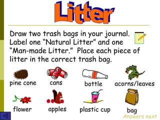 6yr 09 #13 Litter | PPT