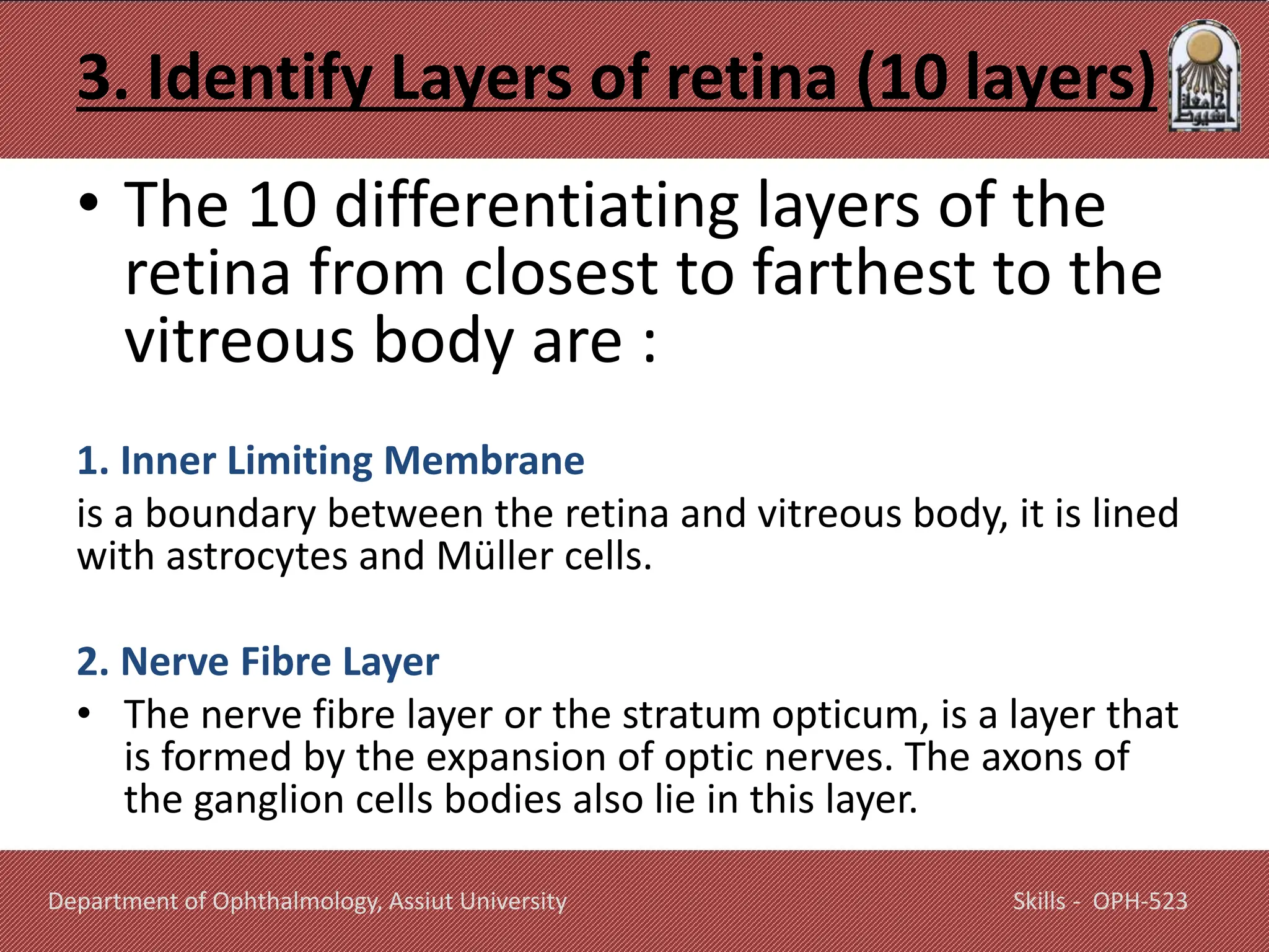 Skills in Retinal disease diagnosis.pptx