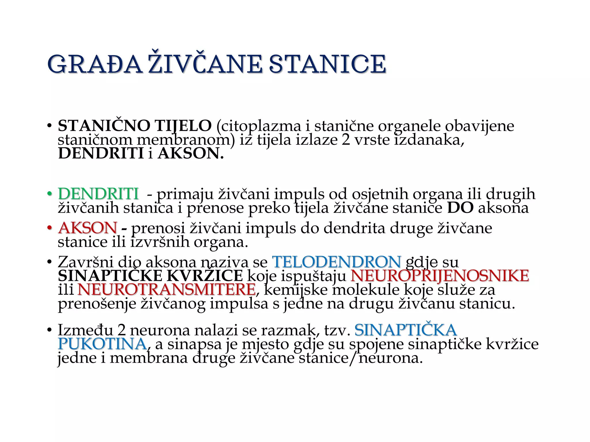 6 Zivcana stanica.pdf