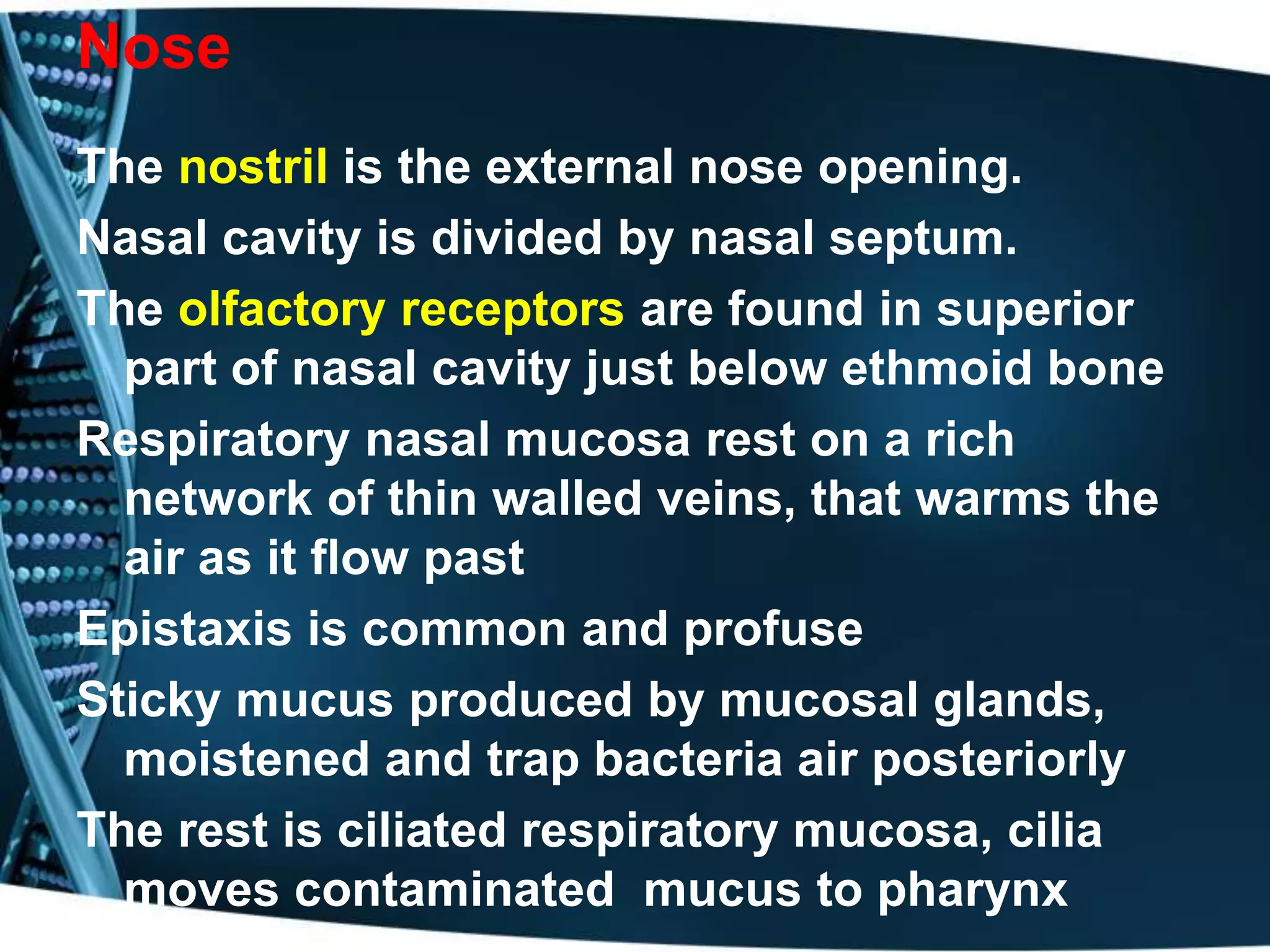 Respiratory system | PPTX