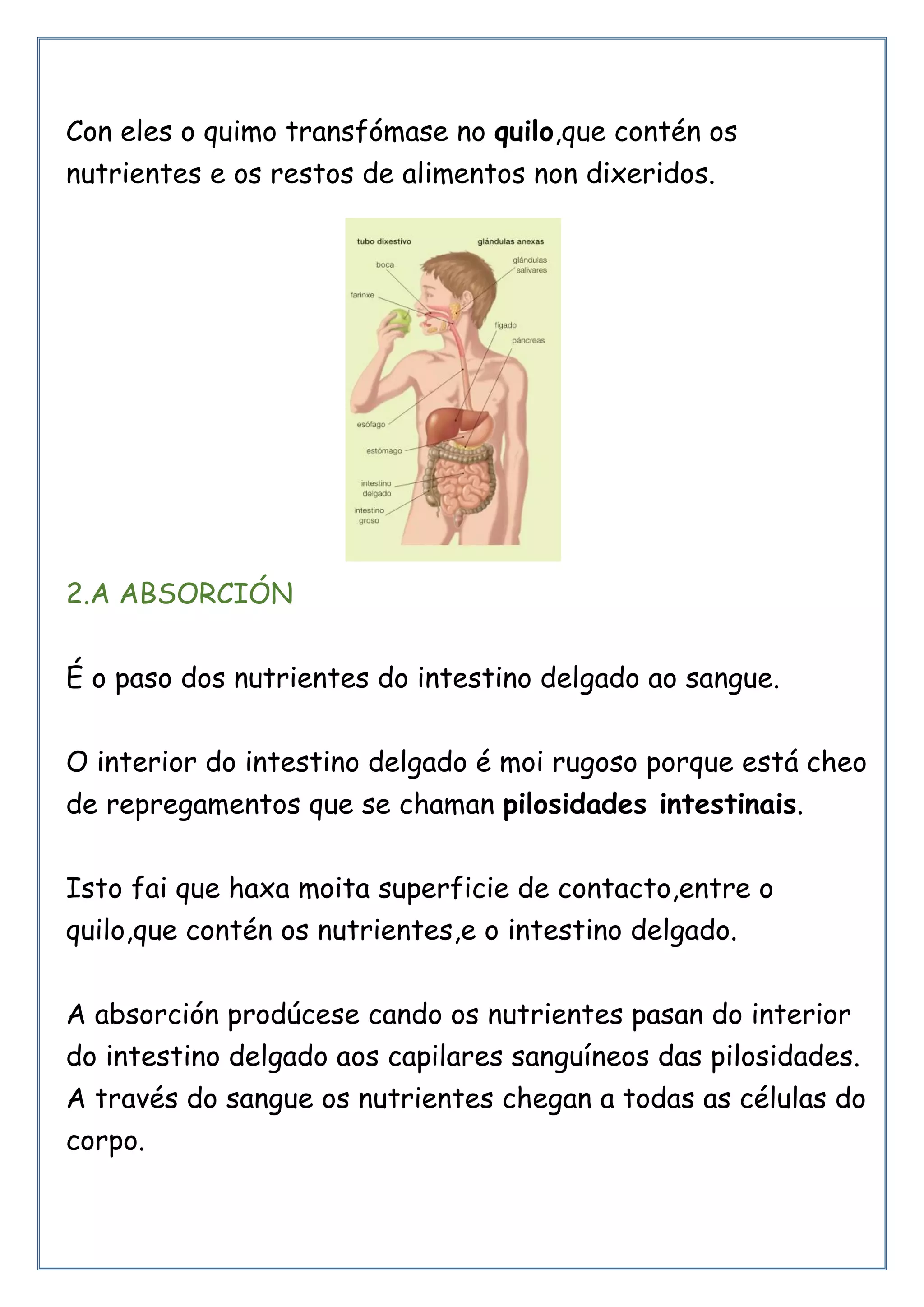 A FUNCIÓN DE NUTRICIÓN.5º E 6º DE PRIMARIA. | PDF