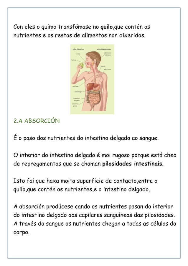 A FUNCIÓN DE NUTRICIÓN.5º E 6º DE PRIMARIA. | PDF