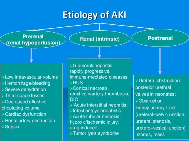 7-1-2. Acute kidney injury. Dmitriy Zverev (eng)