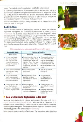 Nutrition in Animals | PDF | Nutrition | Healthy Living