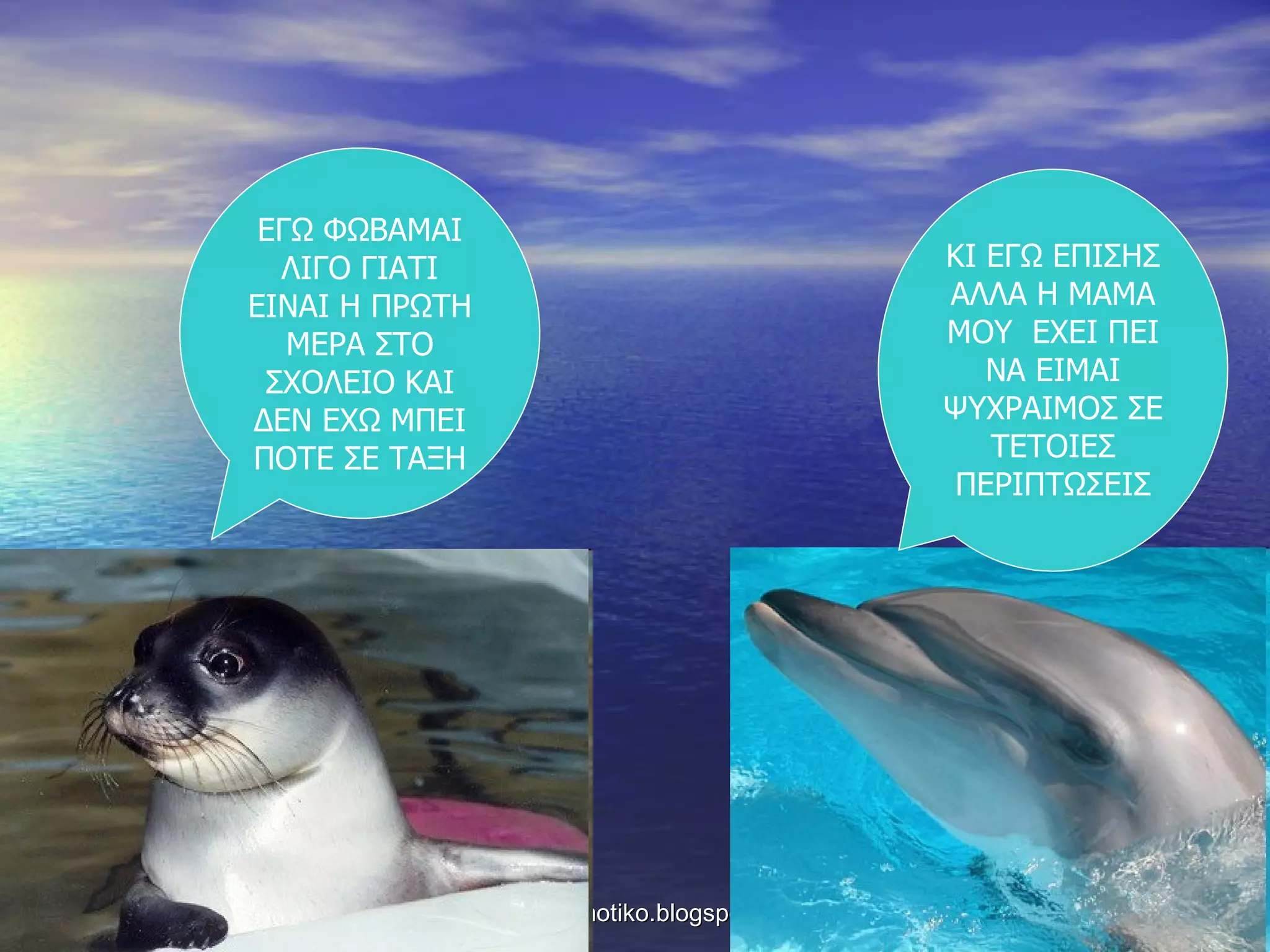 το δελφινι και η φωκια 7 | PPT