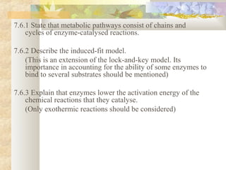 7.6 enzymes | PPT