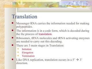 7.4 translation | PPT | Programming Languages | Computing